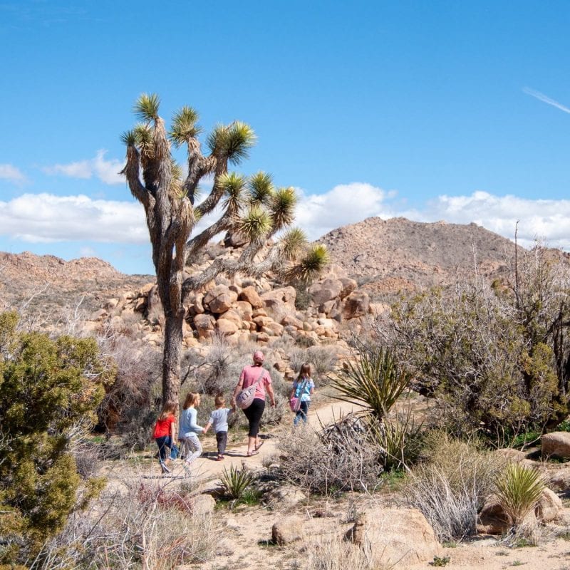 Family Travel Guest Post: How to Afford Full-Time Travel with Dotting ...